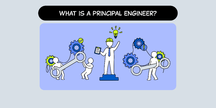 What is a principal engineer?